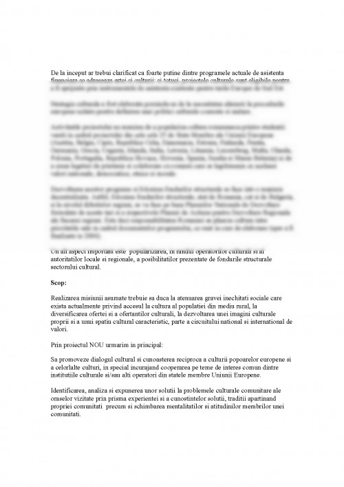 Referat: Structură pentru un proiect intercultural (#365002)