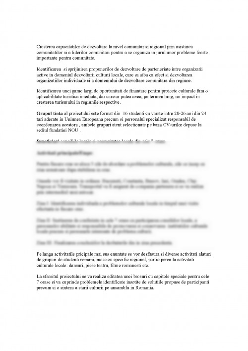 Referat: Structură pentru un proiect intercultural (#365002)
