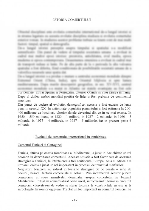 Referat: Istoria comerțului (#366588)
