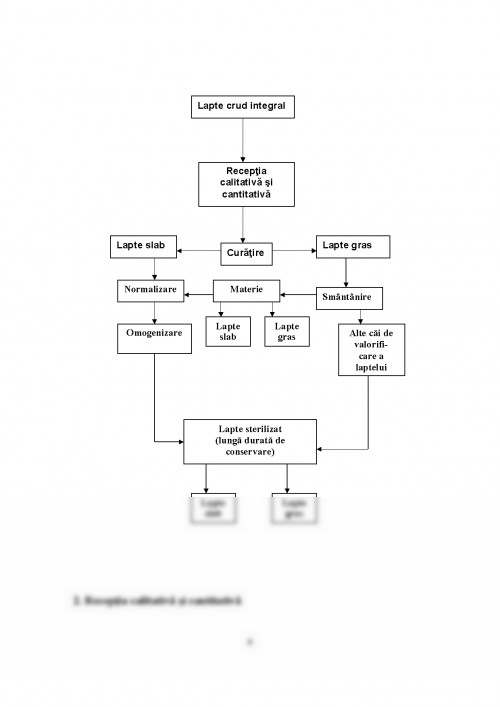 Referat: Fenomene de Transfer (#369575)
