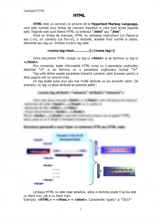 Referat: Limbajul Html (#370352)