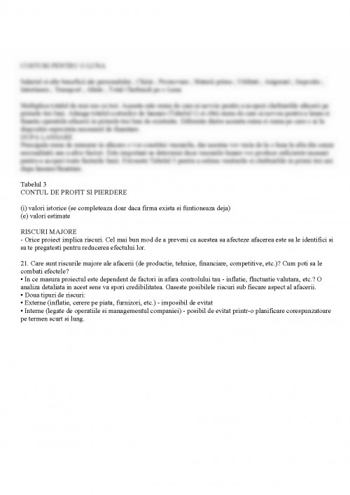 Referat: Ghid pentru întocmirea unui plan de afaceri (#370997)