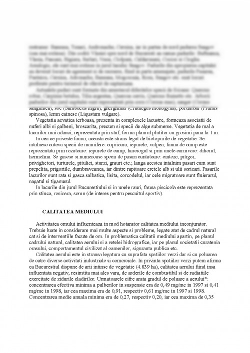 Referat: Amenajarea teritorială a capitalei românești (#371930)