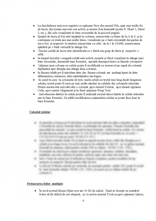 Referat: Utilizarea Foilor de Calcul Excel (#375180)
