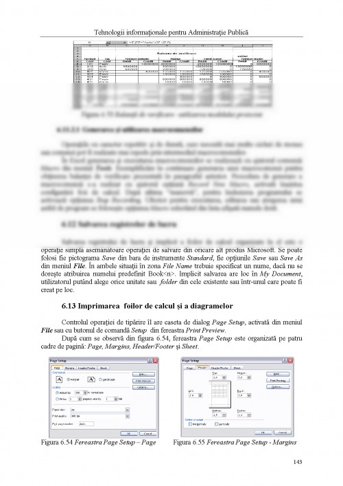 Curs: Excel - Programe de Calcul Tabelar (#377249)