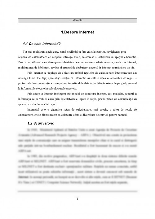 Referat: Internet-ul (#377598)