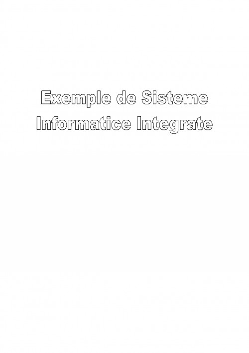 Referat Exemple De Sisteme Informatice Integrate 377809
