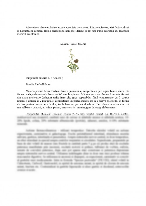 Referat: Anasonul (#378552)