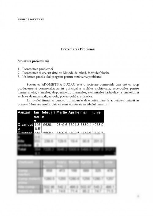 Referat: Pachete software - Aromet SA Buzău (#379594)