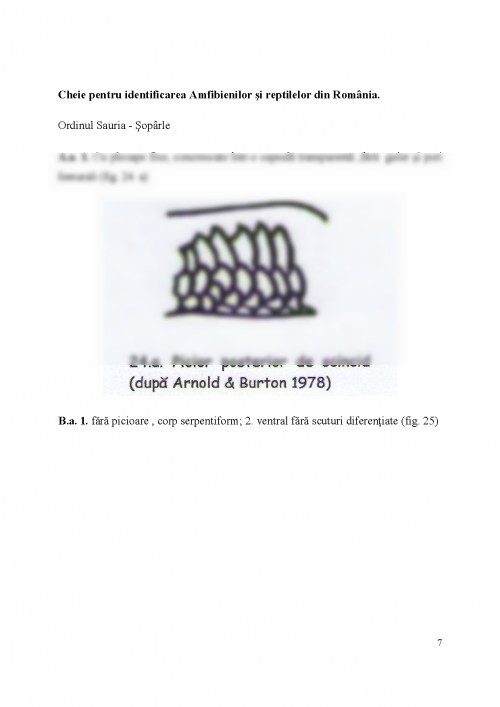 Referat: Fișă specie - năpârca (#381411)