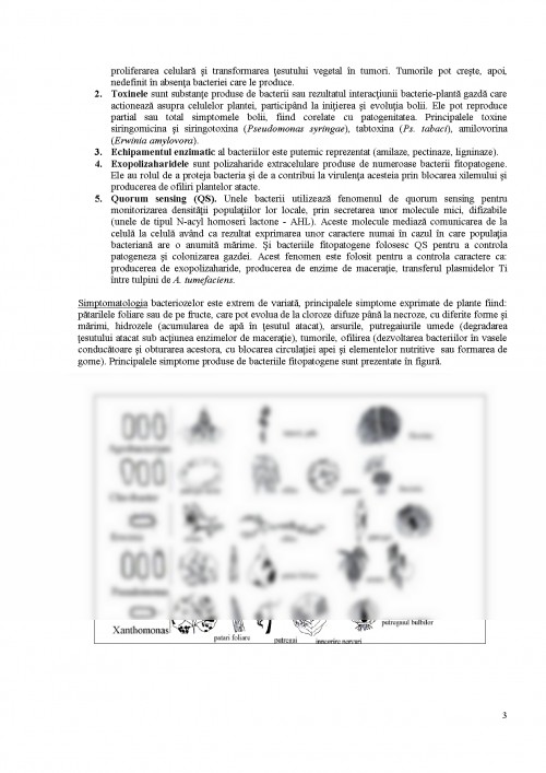 Referat: Bacterii Fitopatogene (#381888)