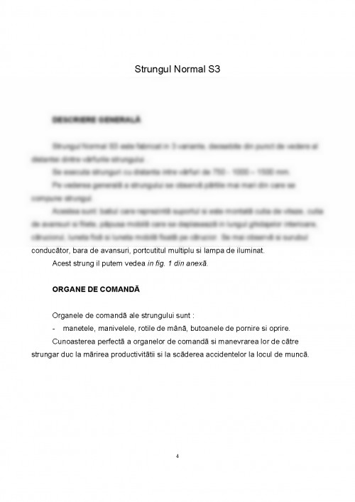 Referat: Strungul (#383368)