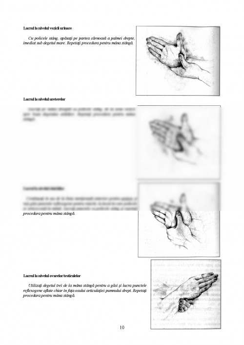 Referat: Reflexologia mâinii (#383998)