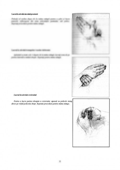 Referat: Reflexologia mâinii (#383998)