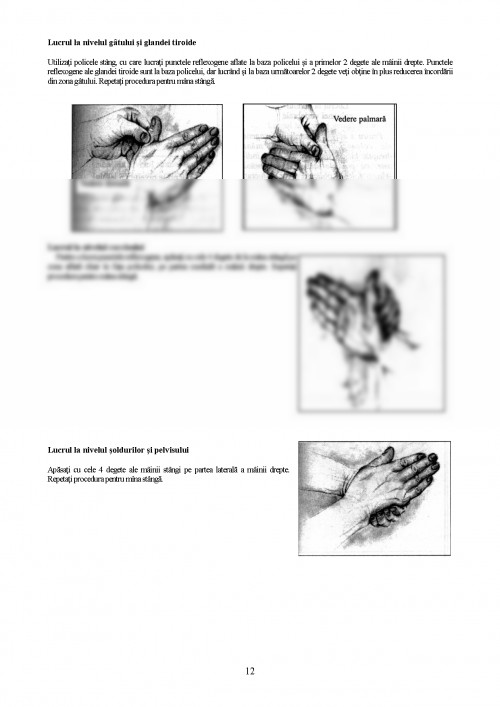 Referat: Reflexologia mâinii (#383998)