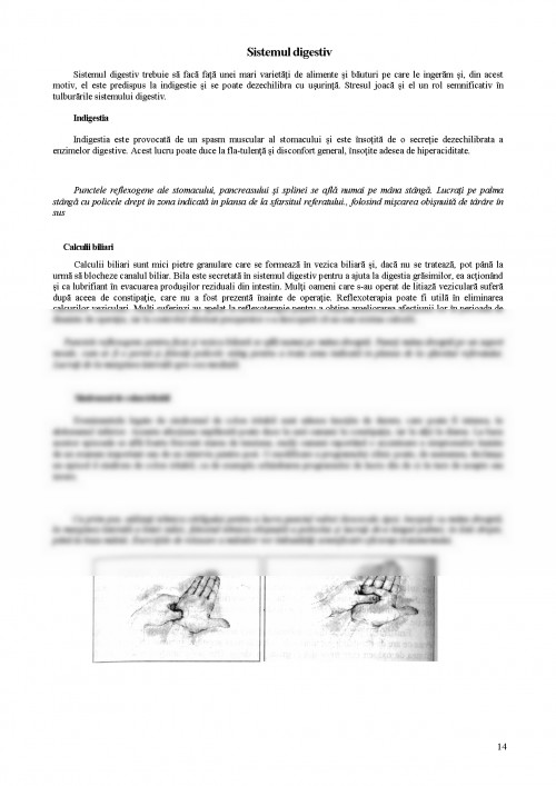 Referat: Reflexologia mâinii (#383998)