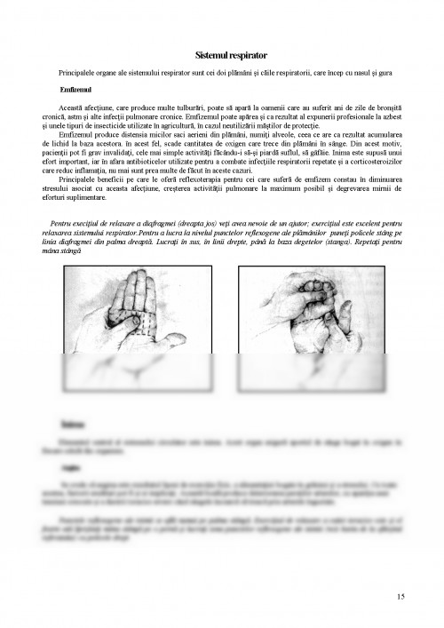 Referat: Reflexologia mâinii (#383998)