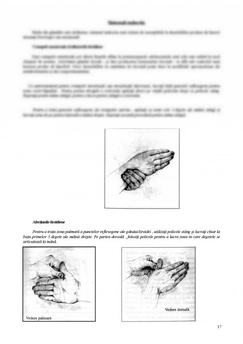 Referat: Reflexologia mâinii (#383998)