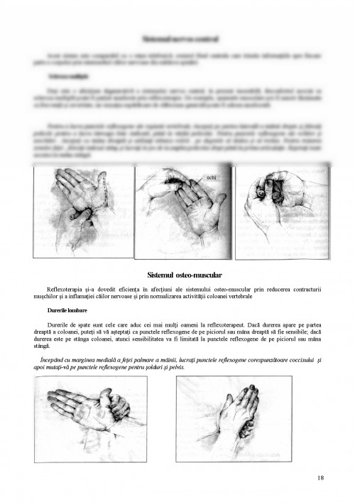 Referat: Reflexologia mâinii (#383998)