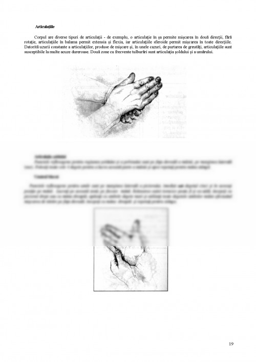 Referat: Reflexologia mâinii (#383998)