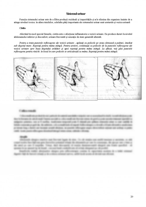 Referat: Reflexologia mâinii (#383998)