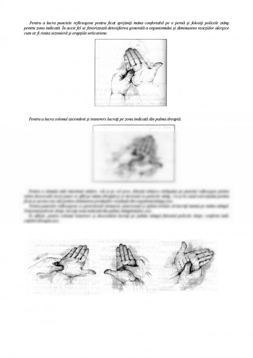 Referat: Reflexologia mâinii (#383998)