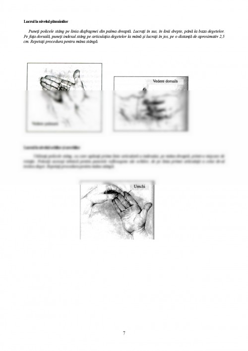 Referat: Reflexologia mâinii (#383998)