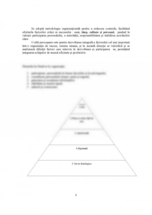 Referat: Diagnoză organizațională - studiu de caz realizat pentru ...