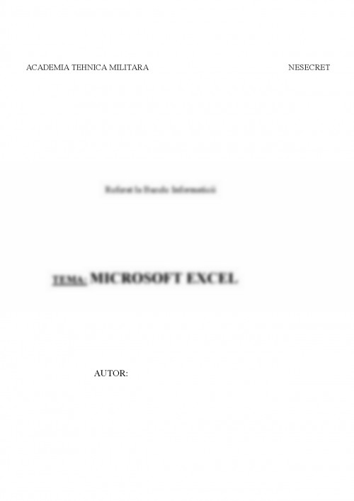 Referat: Microsoft Excel (#385146)