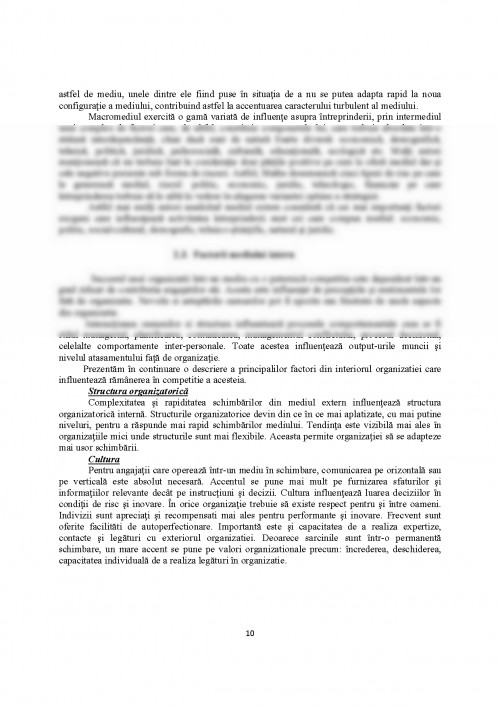 Referat: Mediul Extern al Firmei (#385516)