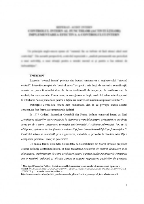 Referat: Controlul intern al funcțiilor implementarea efectivă a ...