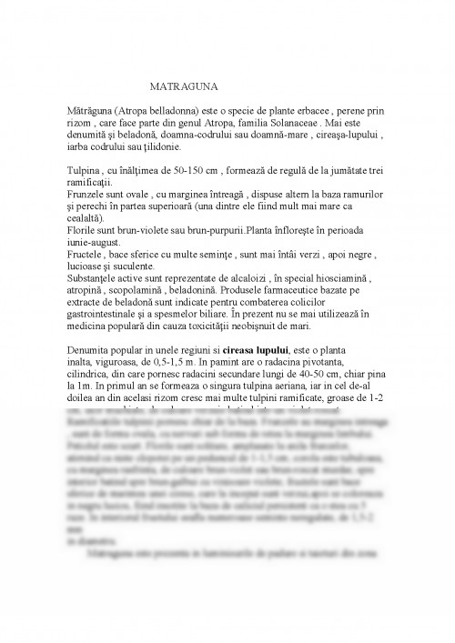 Referat: Mătrăguna (#387089)