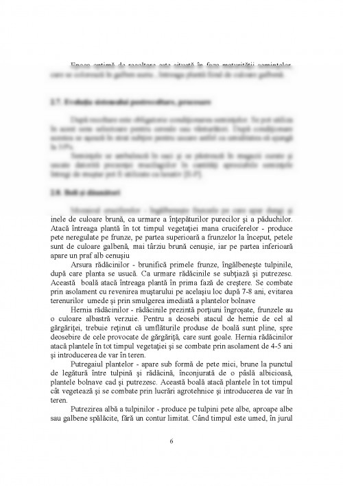 Referat: Plante tropicale și subtropicale - muștarul alb (#390093)