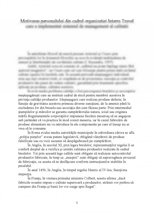 Referat: Motivarea personalului din cadrul organizației Interra Travel ...