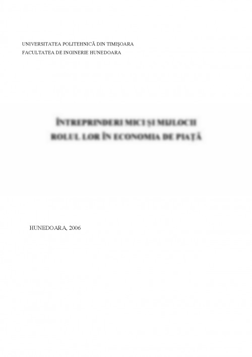 Referat: Întreprinderi Mici și Mijlocii (#392665)