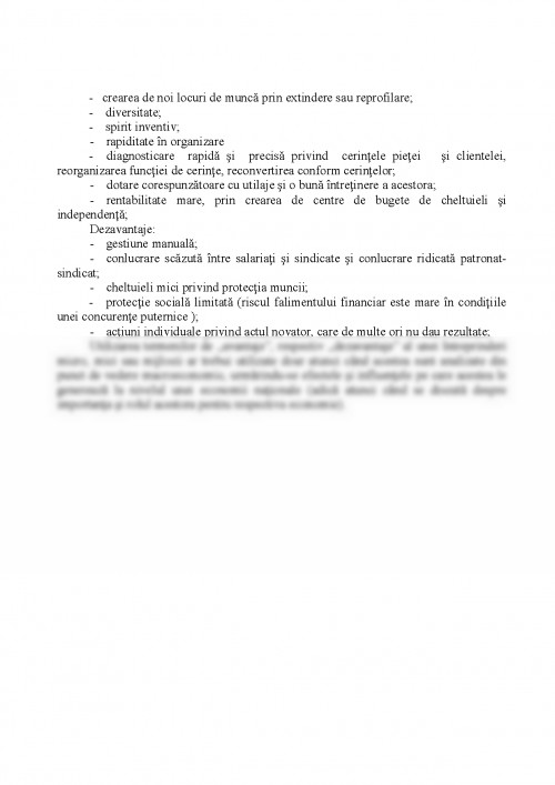 Referat: Întreprinderi Mici și Mijlocii (#392665)