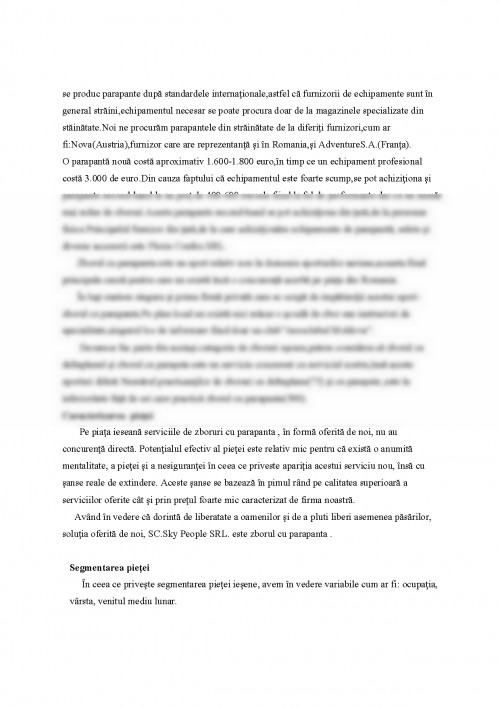Referat: Piața de marketing (#393115)
