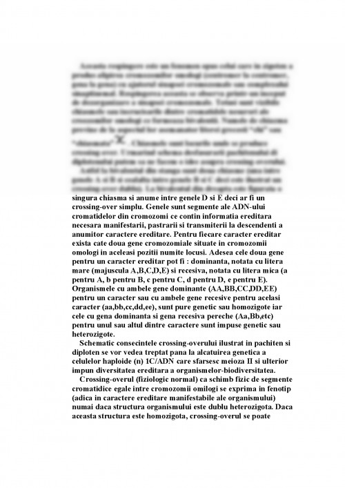 Referat: Meioza (#394695)