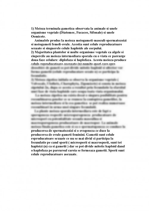 Referat: Meioza (#394695)