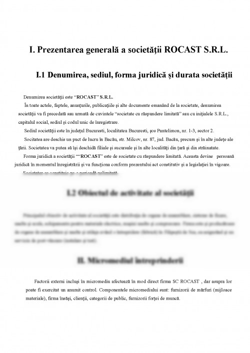 Referat: Micromediul de Marketing - Rocast SRL (#396643)