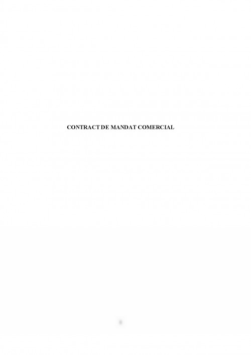 Referat: Contract de Mandat Comercial (#401953)