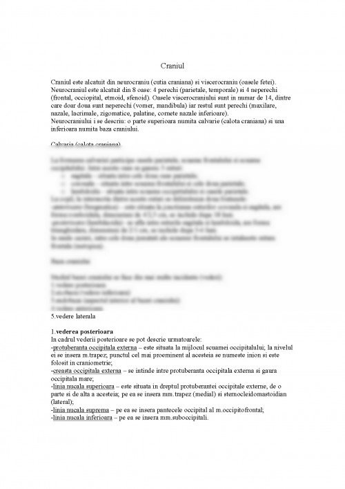 Referat: Craniul (#407411)