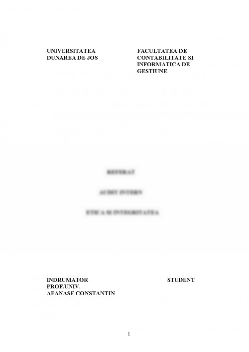 Referat: Audit Intern (#407570)