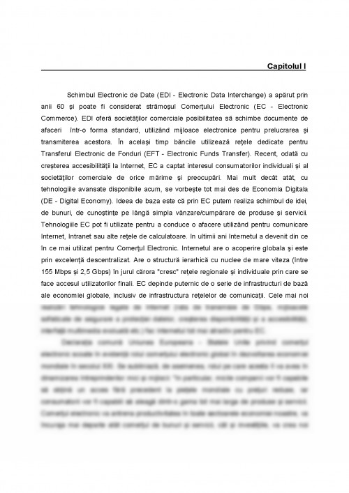 Referat: Consumatorul în ciberspatiu - comerțul electronic (#408158)