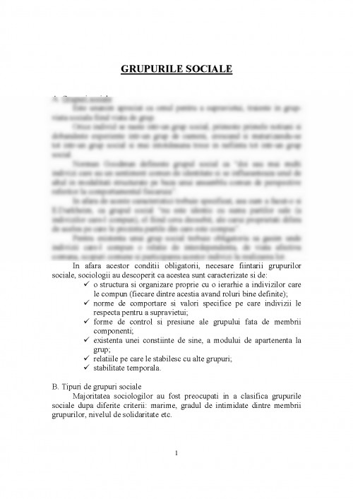 Referat: Grupurile Sociale (#409275)