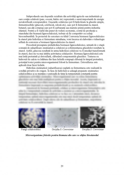 Referat: Muștarul - procesul tehnologic (#411873)