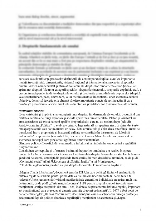Referat: Regimuri democratice - SUA și Franța (#412387)