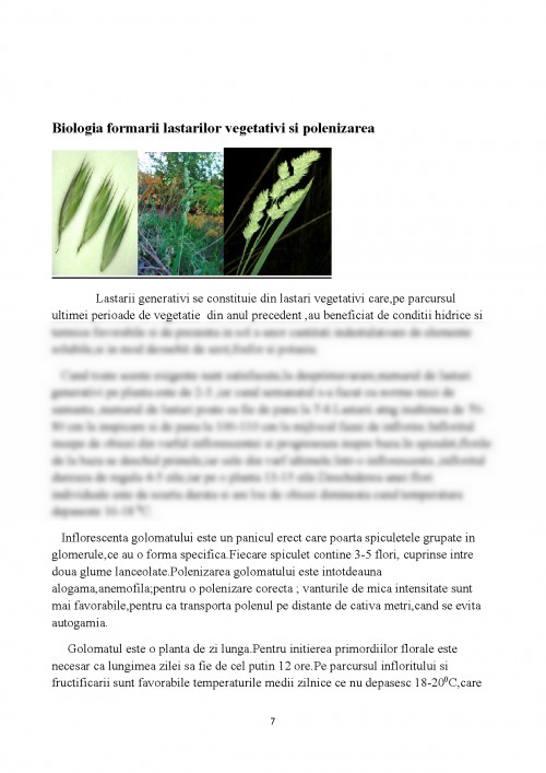 Referat: Tehnologia de producere de sămânță la golomăț (#413941)