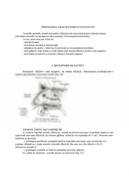 Curs: Anatomie (#414861)