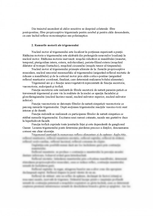 Curs: Anatomie (#414861)